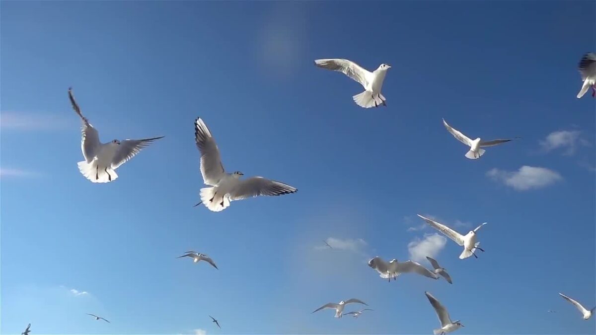 ALL ROUND SETTLEMENTS FROM GOD – Breakthrough Platforms